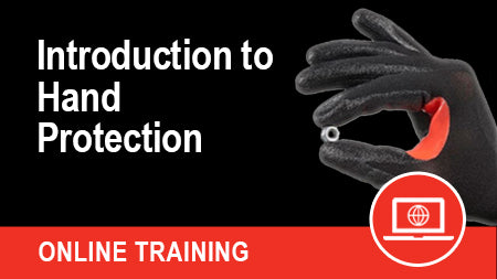 Online Training Courses – PIP Global Safety Training